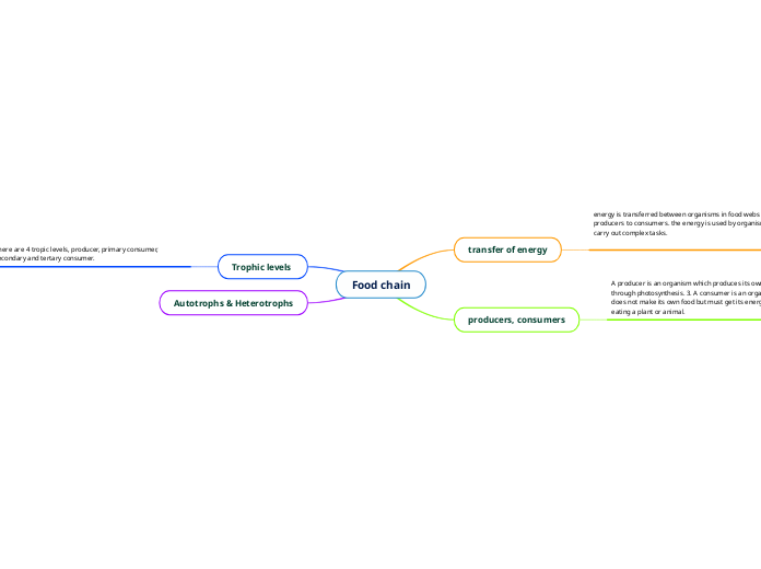Food chain - Mind Map